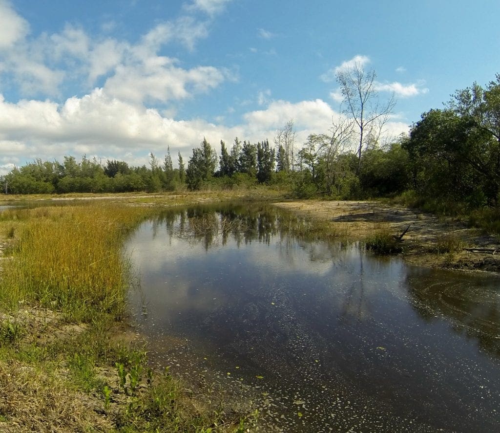 Cortez FISH Preserve gallery - AMI Sun