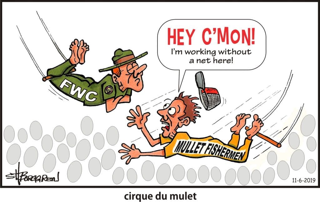 Political cartoons - 2019 - AMI Sun