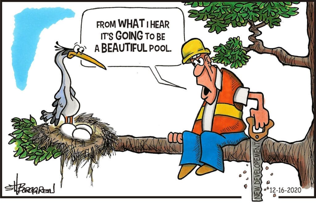 Political cartoons 2020 - AMI Sun