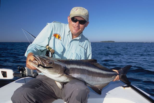 Spring fever? Go for cobia - AMI Sun