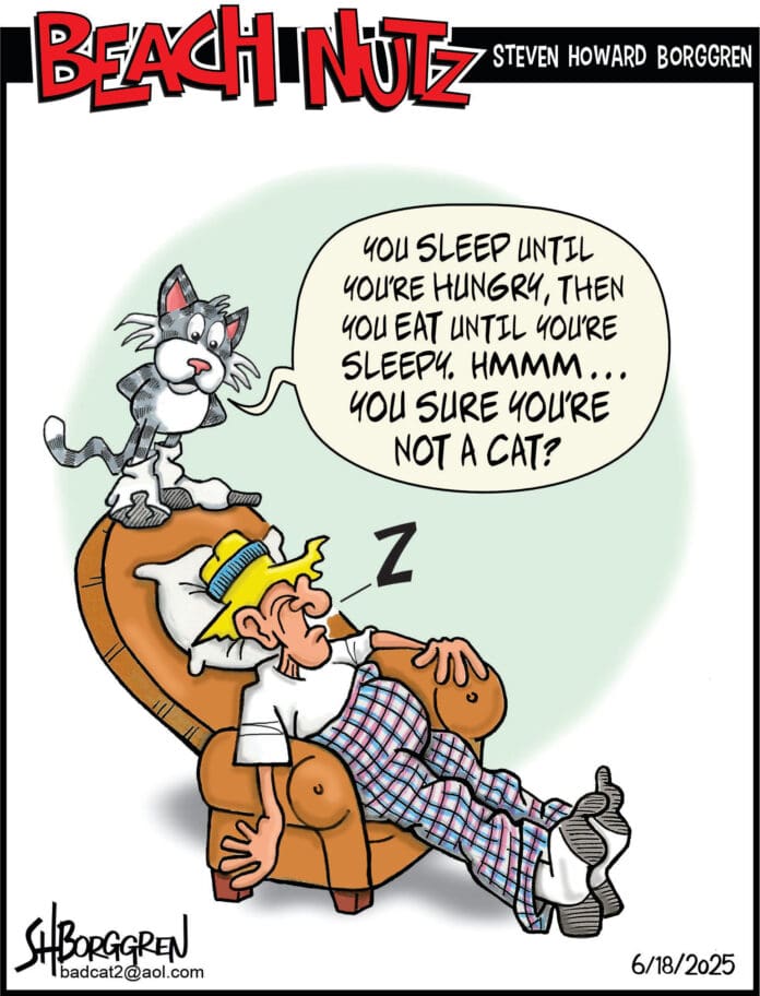 Beach Nutz - AMI Sun