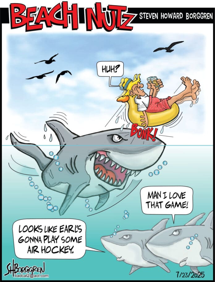 Beach Nutz - AMI Sun