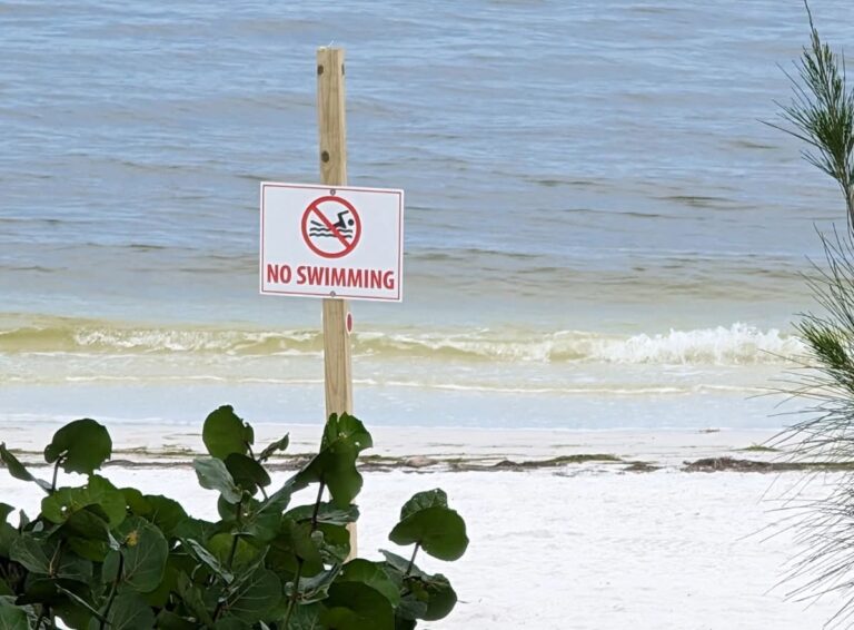 No swim zone implemented after Bean Point drowning - AMI Sun