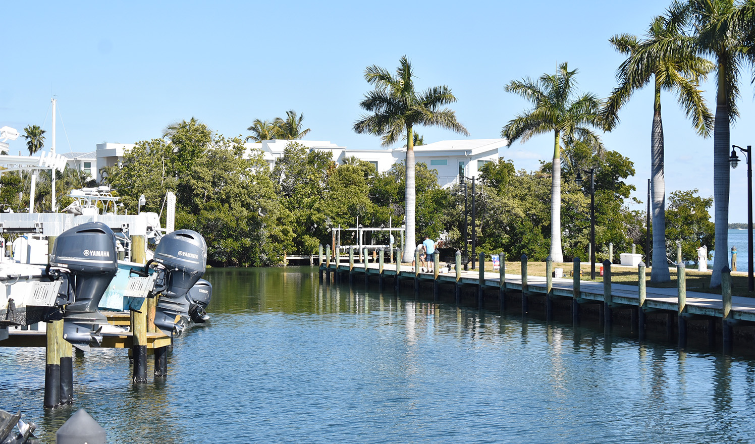 Mainsail president addresses Waterline Marina ferry stop - AMI Sun
