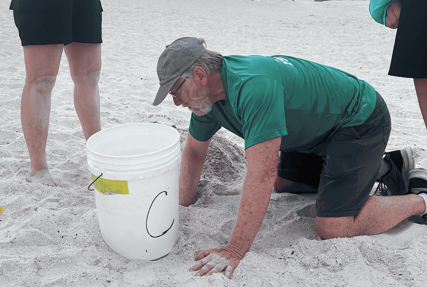 First loggerhead sea turtle nest of season found - AMI Sun